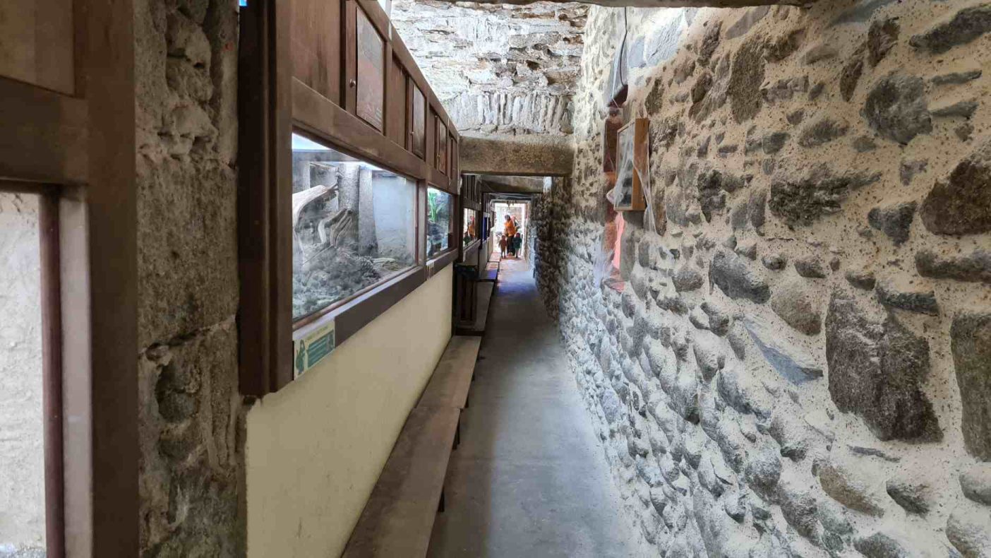 22 things to do in St-Malo (and around) | Carnets Vanille