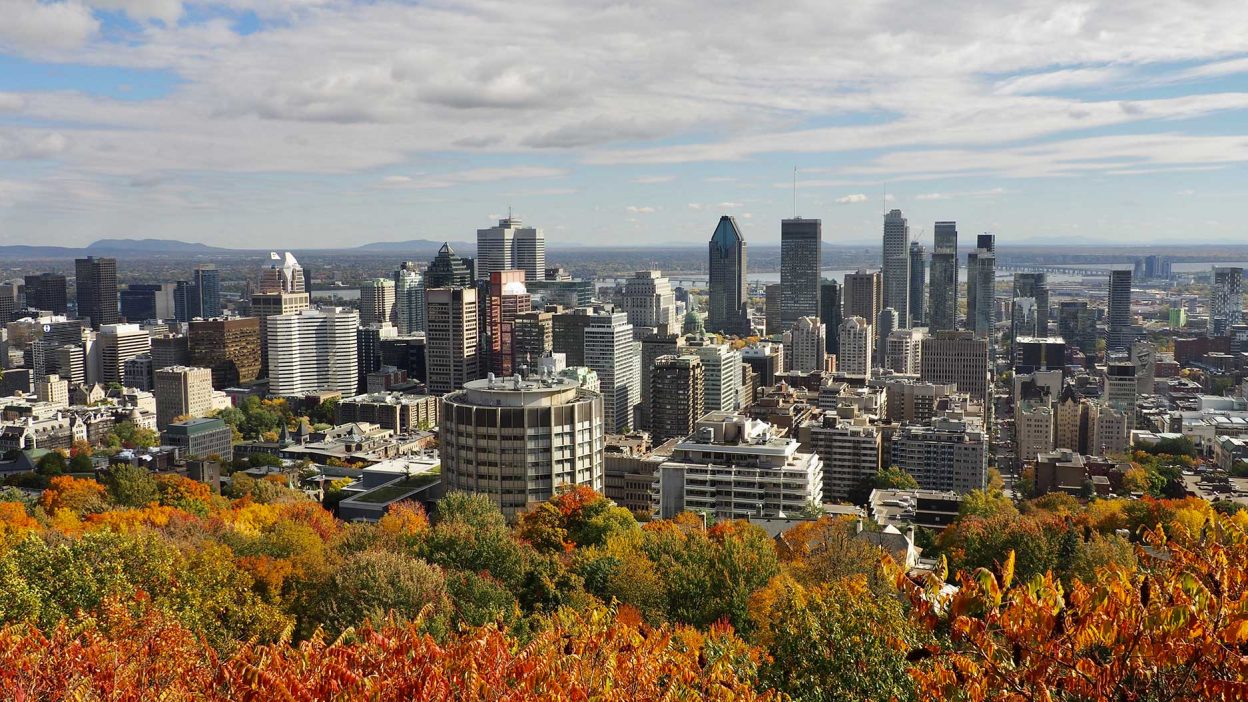 Mount Royal Lookout Through The Seasons | Carnets Vanille