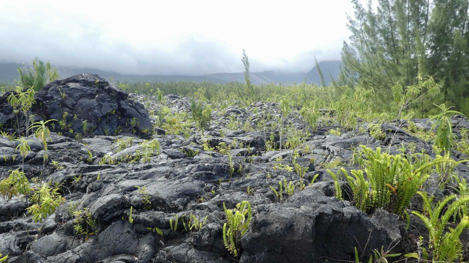 4 choses à voir sur la route des laves à La Réunion | Carnets Vanille