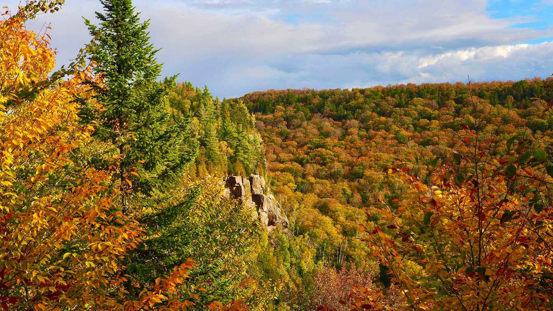 Que faire en automne au Québec ? | Carnets Vanille