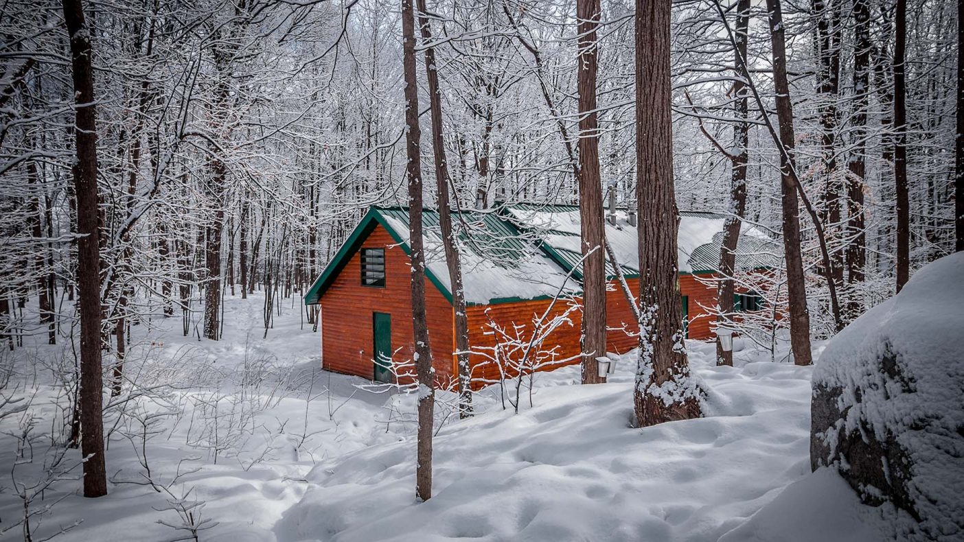 C'est quoi le temps des sucres au Québec ? | Carnets Vanille