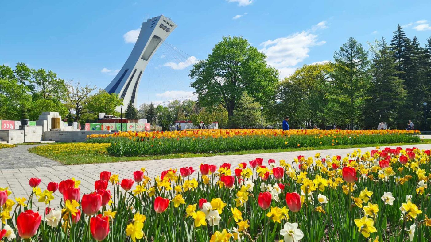Que voir au jardin botanique de Montréal ? | Carnets Vanille