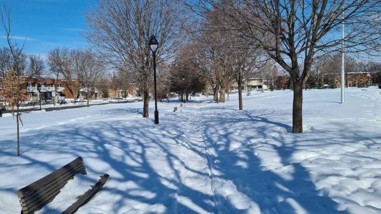 What to Do in Winter in Montreal: 16 Must-Try Activities | Carnets Vanille